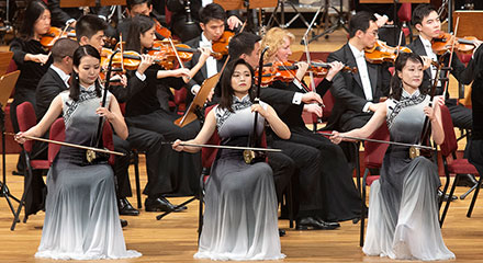 Erhu - Traditional Musical Instruments of China - Udumbara